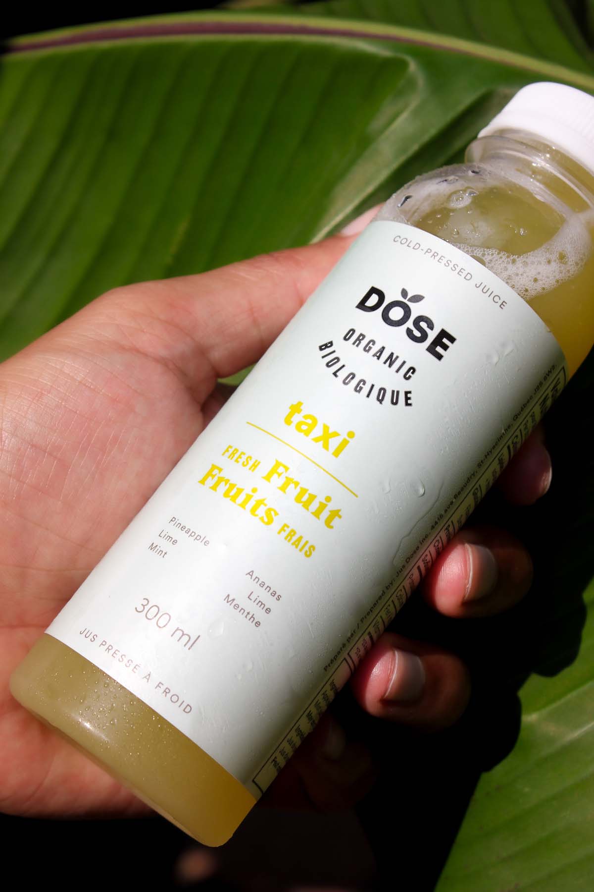 Organic Cold-Pressed Juices, Wellness Shots and Smoothies - Dose Juice